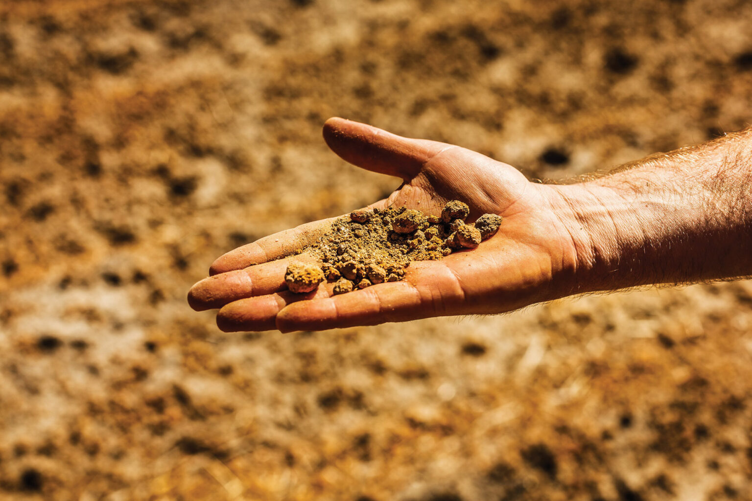 Helping young farmers onto farms - Future Farmers Network